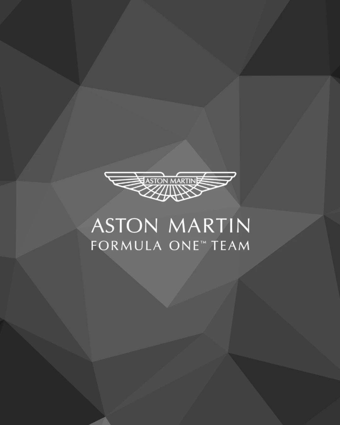 Aston Martin F1 Merchandise – TheRaceFans